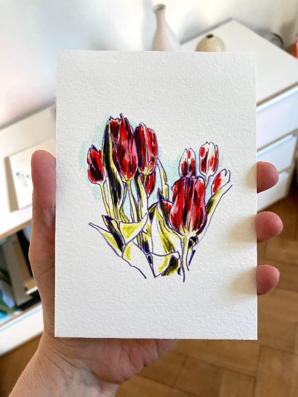 Sabine Fasching - Tulips